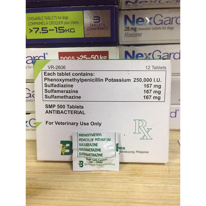 SMP 500 Anti Bacterial-Sold per Tablet | Shopee Philippines