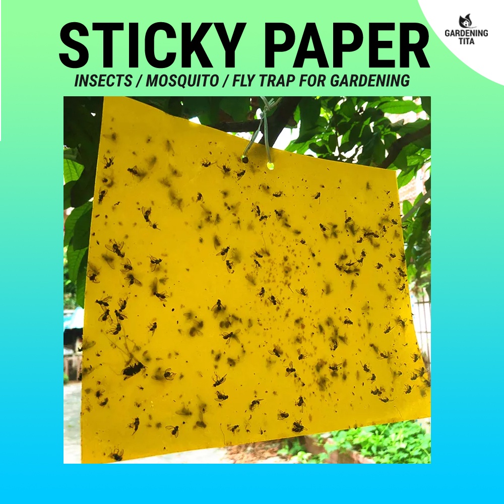 (1pc) Sticky Paper Trap for Insects Bug Catcher Pest Control - For ...