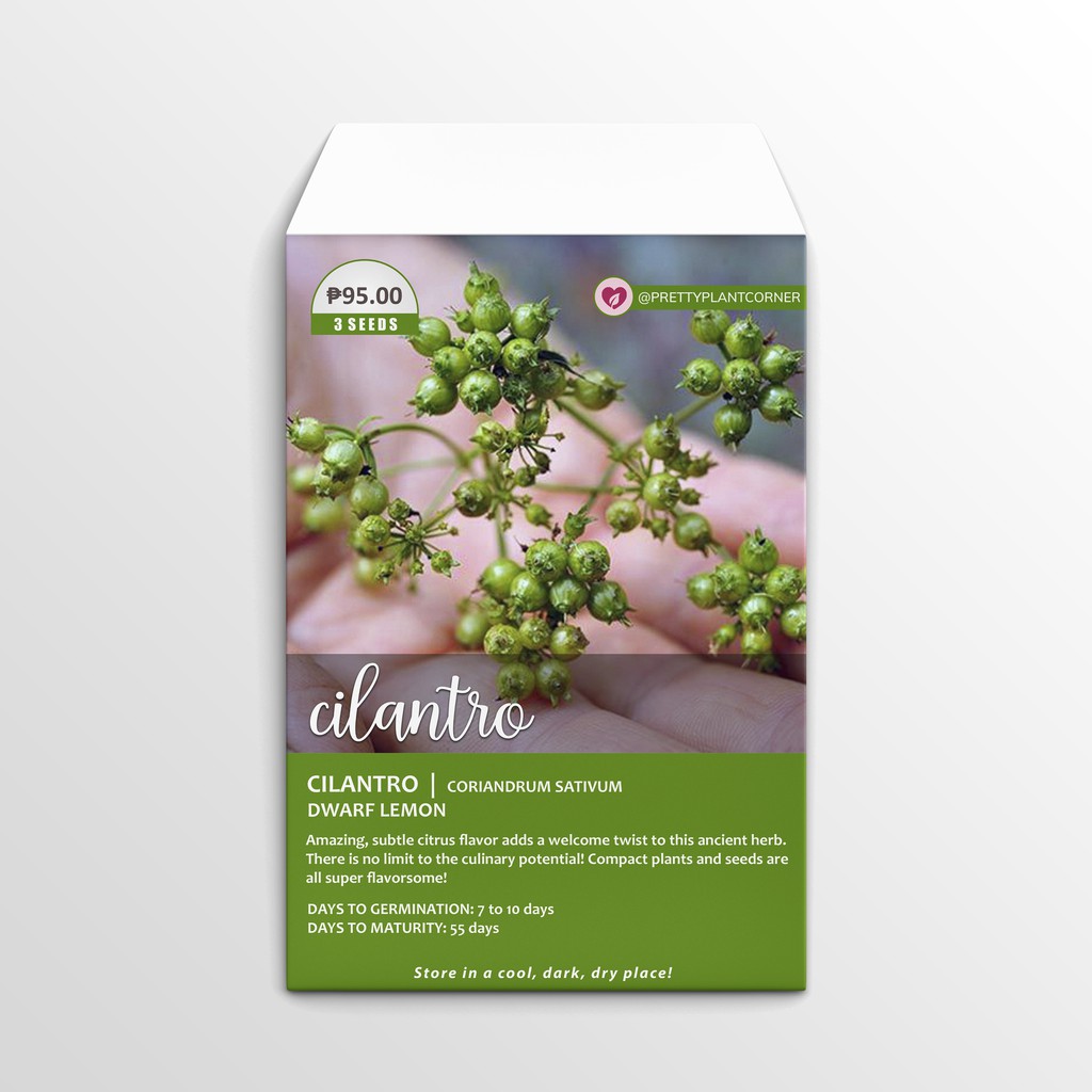 Dwarf Lemon Cilantro Seeds | Shopee Philippines