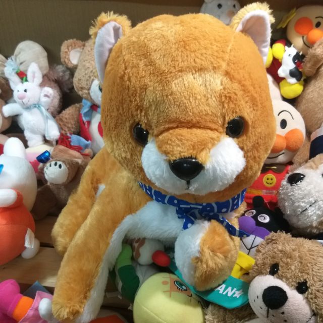 Shiba Amuse Dog Doll 15 Inch | Shopee Philippines