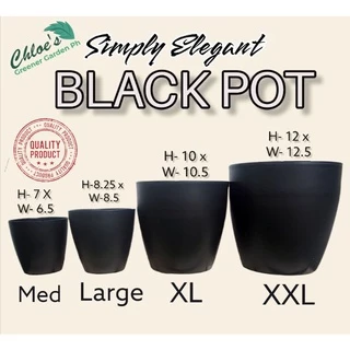 Shop paso for plants plastic for Sale on Shopee Philippines