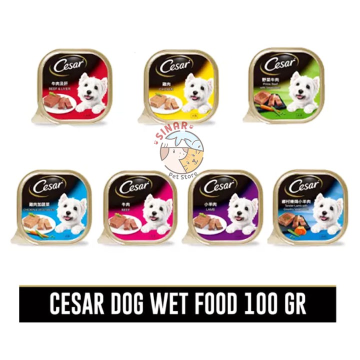 Cesar Dog Wet Food 100GR Wet Dog Food All Variants Beef Liver Chicken ...