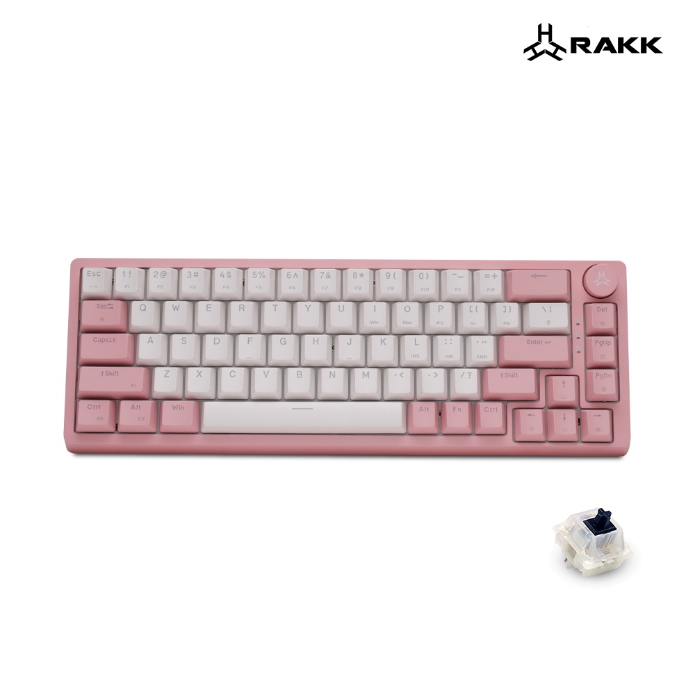 EasyPC| Rakk Pirah/Plus 66 Wireless Mechanical Keyboard| RGB| White ...