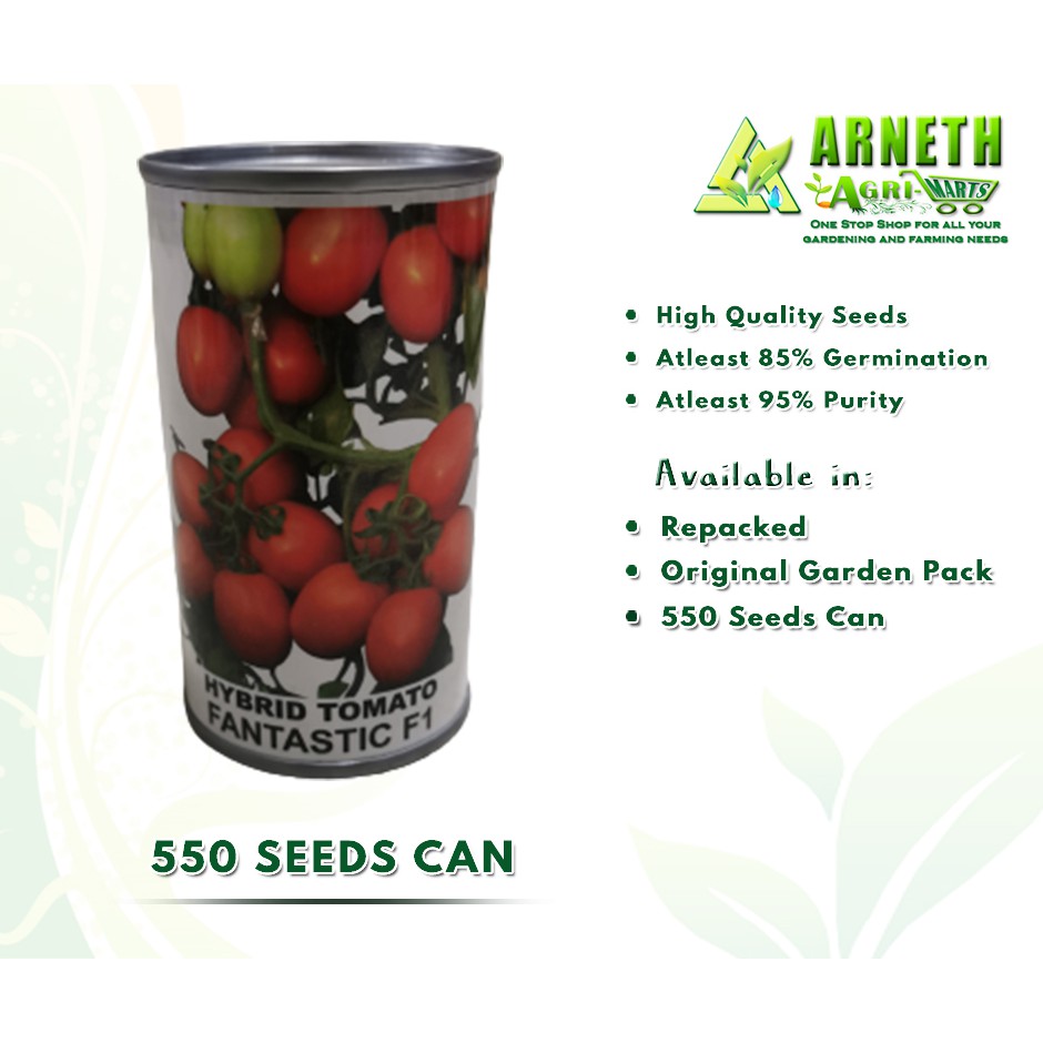 CONDOR FANTASTIC F1 HYBRID TOMATO (550 SEEDS) | Shopee Philippines