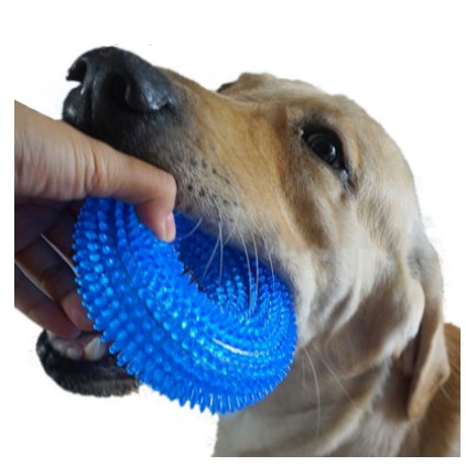 Donut-Shaped Rubber Teether Sound for Pets Fun & Effective Dental ...