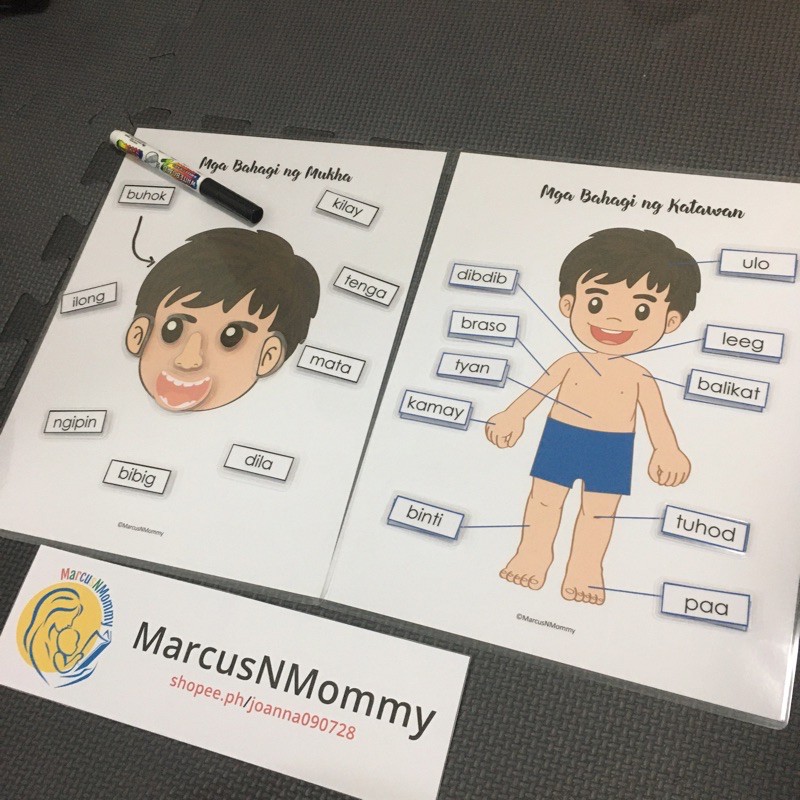 Parts of the Body (In Filipino) Activity Worksheet for Kids | Shopee ...
