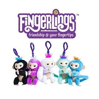 Shop fingerlings for Sale on Shopee Philippines