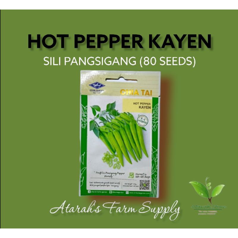 COD! Hybrid Chia Tai Kayen F1 (Sili Pangsigang) Seeds | Shopee Philippines
