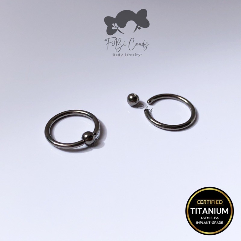 FiBiCandy CBR0001 Zoe 16G Astm F136 Titanium Earring Basic Captive Bead ...