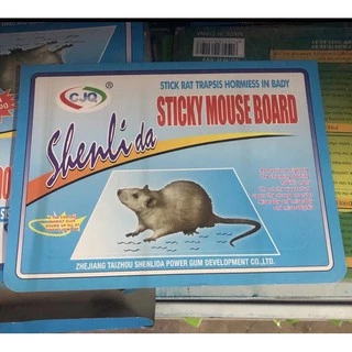 pandikit - Best Prices and Online Promos - Jun 2024 | Shopee Philippines