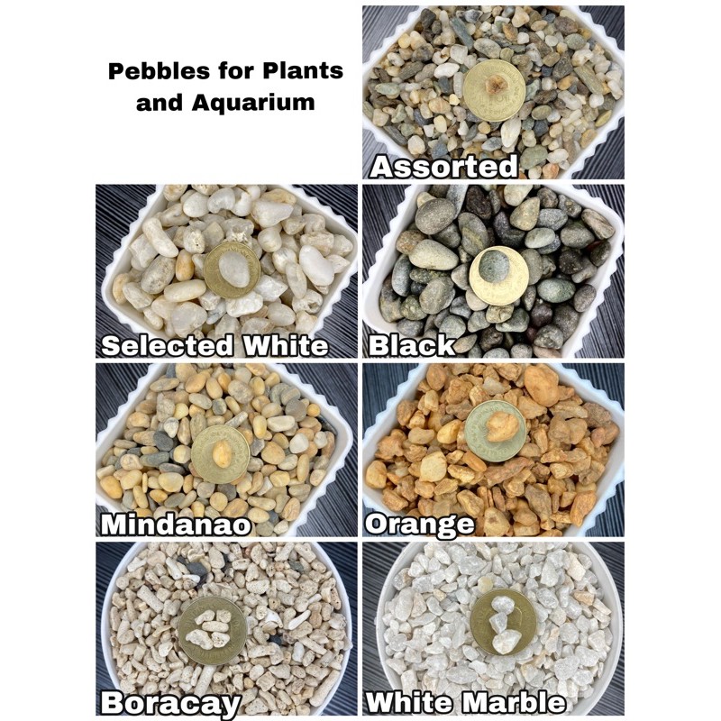 Pebbles Plants/Aquarium - Assorted, Black, Boracay, White Selected ...
