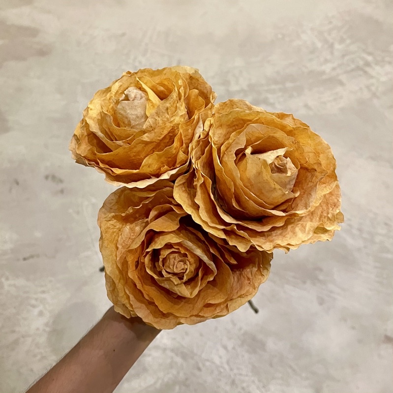 Fossilized/Dried Rose Flower (3 stems) | Shopee Philippines