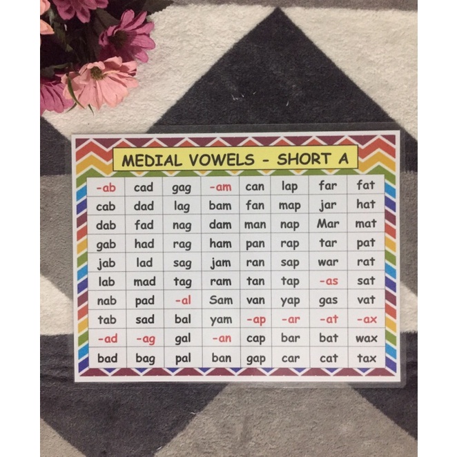 Laminated English Reading Materials in Medial Vowels | Shopee Philippines
