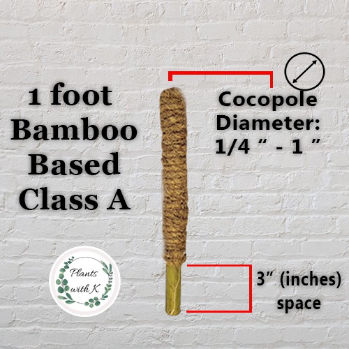 Bolo-based Coco pole Cocopole, Plant Support, Plant Pole Trailing ...