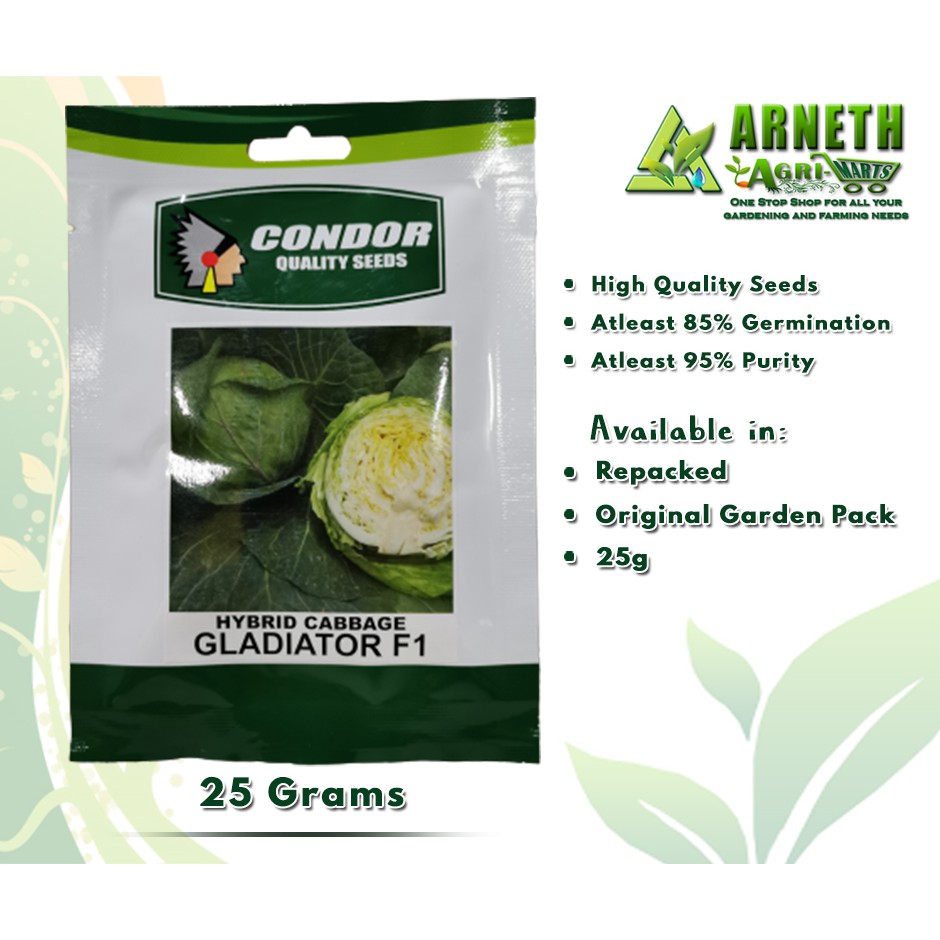 CONDOR GLADIATOR F1 HYBRID CABBAGE (25G) | Shopee Philippines