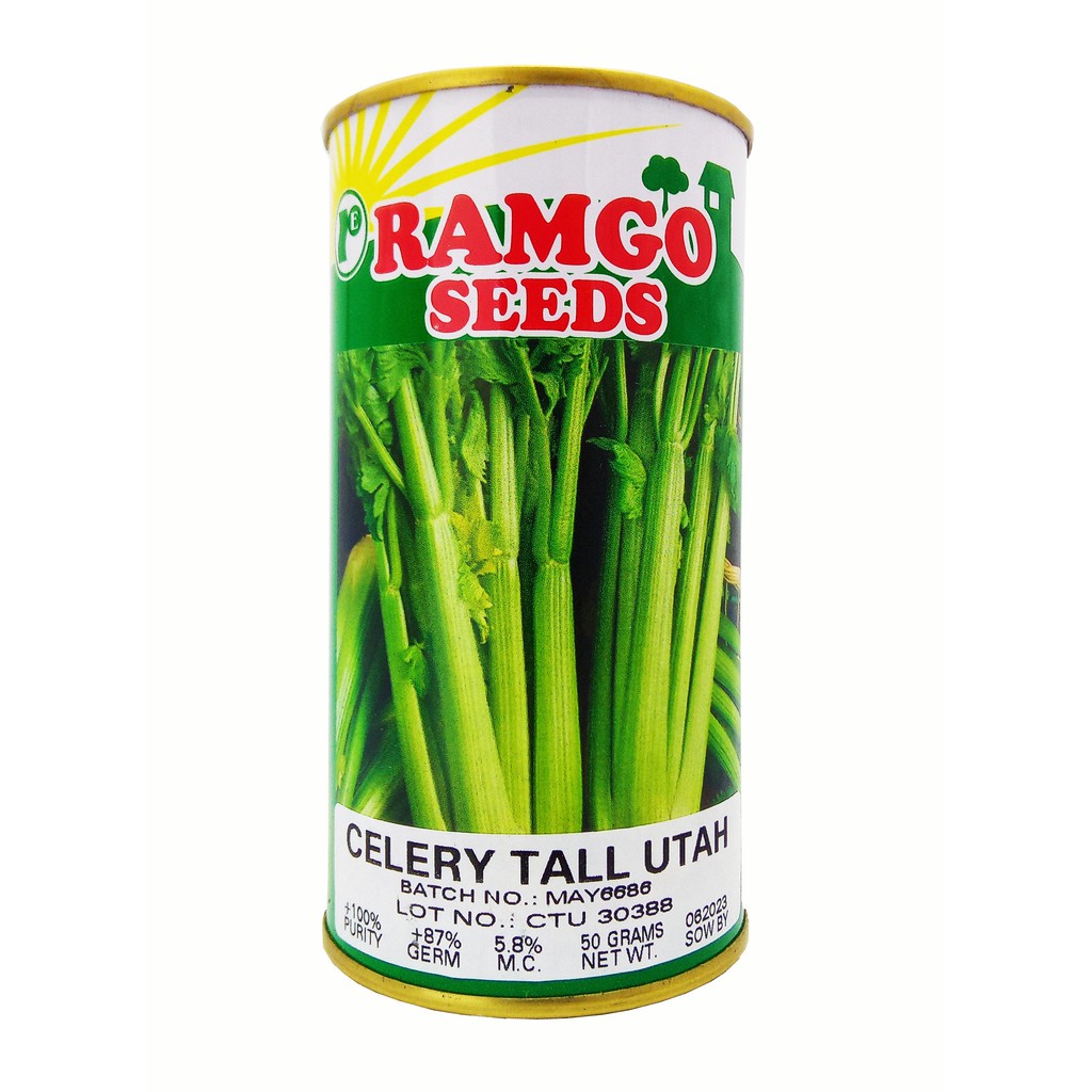 Ramgo Seeds Tin Can Celery Tall Utah 50g GDSFPH_S4 | Shopee Philippines