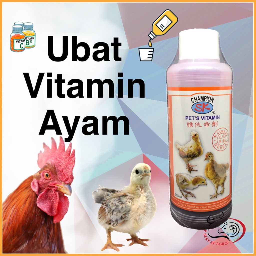 SK CHAMPION Vitamin Ayam ubat ayam anpicine 707 ubat puru ayam ubat ...
