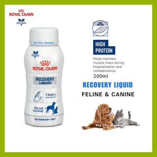 Recovery Liquid For Feline & Canine 200ml Veterinary Diet ( Cat & Dog ...