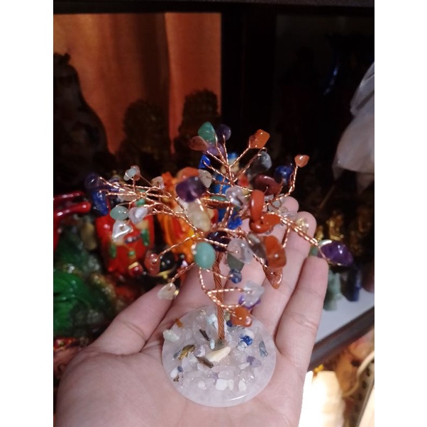 5 elements money tree | Shopee Philippines