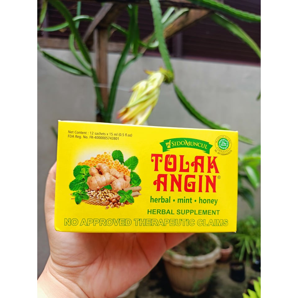 Tolak Angin Herbal Supplement (Sold per sachet) | Shopee Philippines