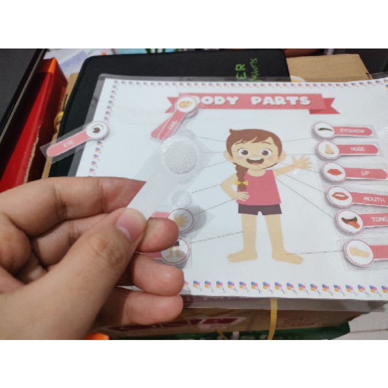 Parts of the Body Chart (Velcro Chart) | Shopee Philippines
