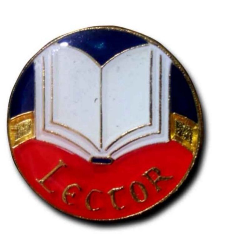Lector Pin - Whole Sale 10 pcs (2cm - Nickel) | Shopee Philippines