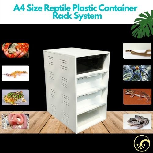 [READY STOCK] Reptile Enclosure Rack System WITH 4pcs A4 Tray ...