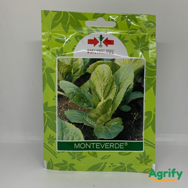 Monteverde Seeds EastWest Mustasa 5000 seeds | Shopee Philippines