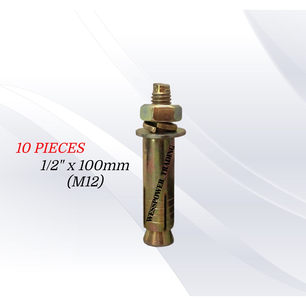 WPT-5388 10pcs Dyna Bolt ( Sleeve Anchor ) or (Expansion Bolt) | Shopee ...