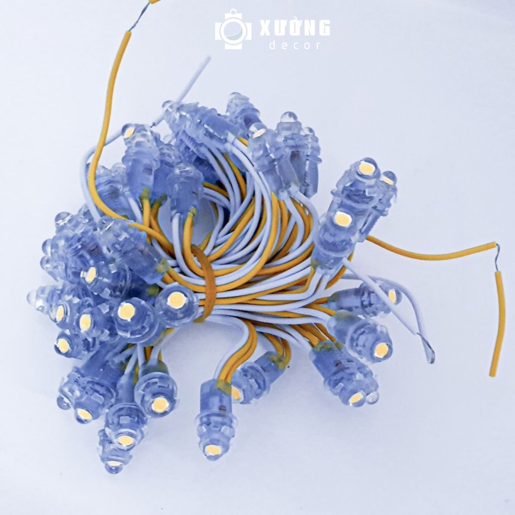 Molded Led F5 - 12V 9mm Plastic Base Assorted Colors for Outdoor Tree ...