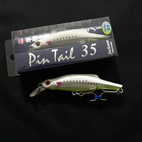 Jackson Pin tail 35 Fast Sinking Fishing Lure | Shopee Philippines