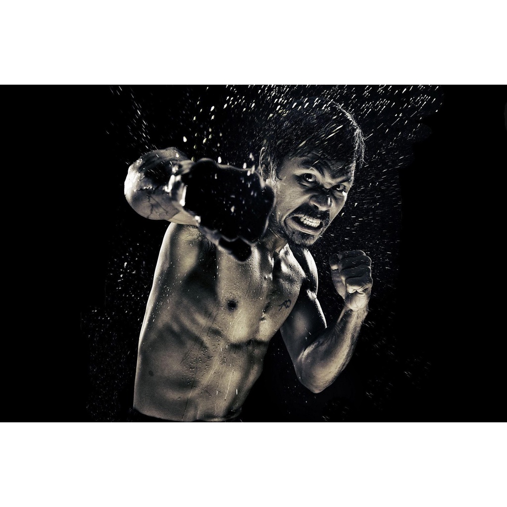Home decoration Manny Pacquiao men boxing Silk Fabric Poster Print YR ...