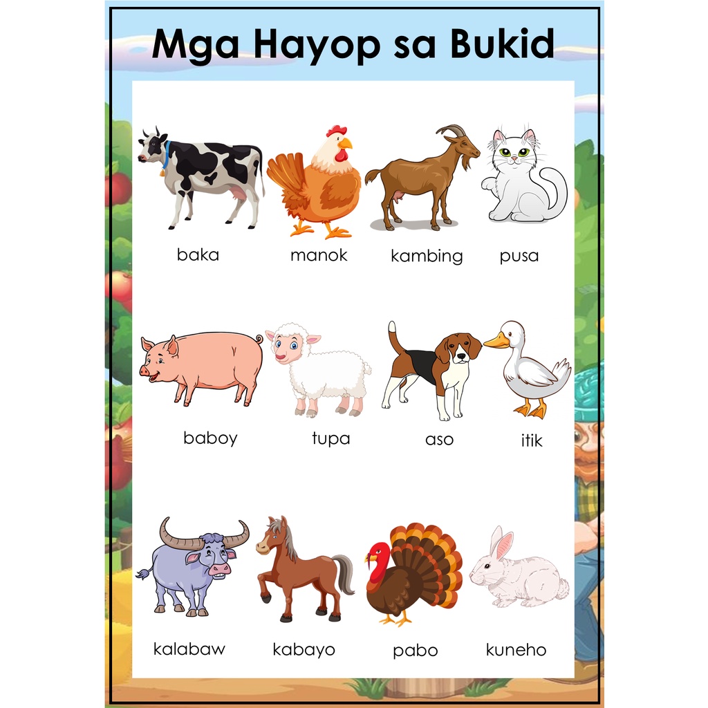 A4 Laminated Filipino Educational Chart for Kids | Shopee Philippines