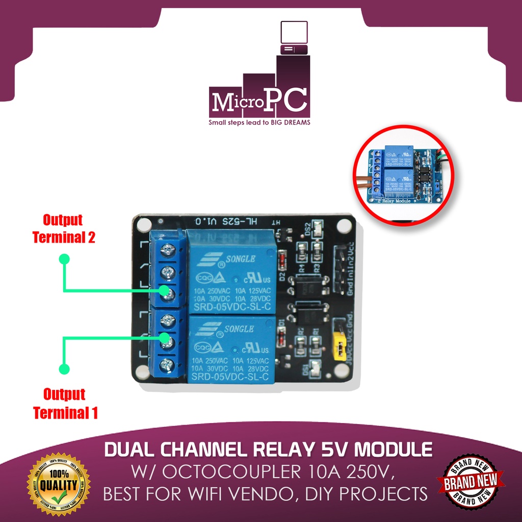 DUAL CHANNEL RELAY 5V MODULE, W/ OCTOCOUPLER 10A 250V, BEST FOR WIFI ...
