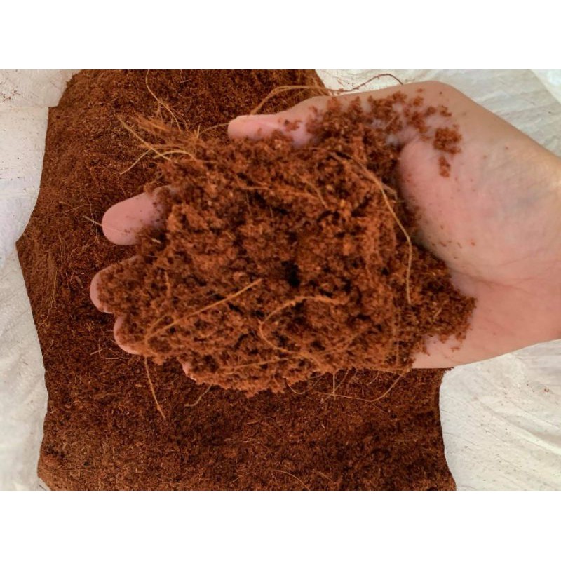 Premium Coco Coir Dust/Peat 1Kilo | Shopee Philippines