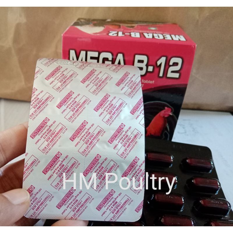 Mega B-12 by Excellence (Sold by 10/20/30 tabs) | Shopee Philippines