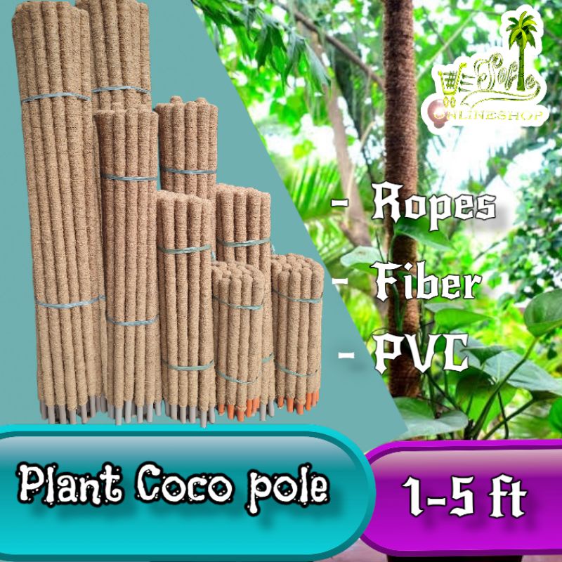 11.11 Mega Sale 3 Ft Coco Pole Plant Support fot Creeping Plants ...