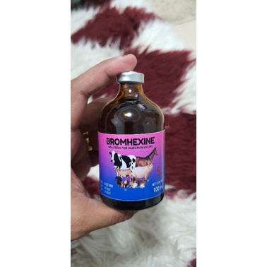 BROMHEXINE INJ 100ML | Shopee Philippines