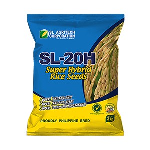 SL-20H Super Hybrid Seed NSIC RC 540H (3kg) | Shopee Philippines
