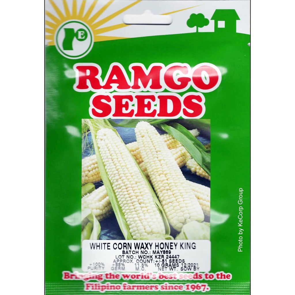 Ramgo or Condor White, Sweet, Purple, BiColor, Hybrid Corn Sold per ...