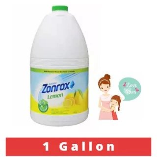 Shop zonrox 1 gallon for Sale on Shopee Philippines