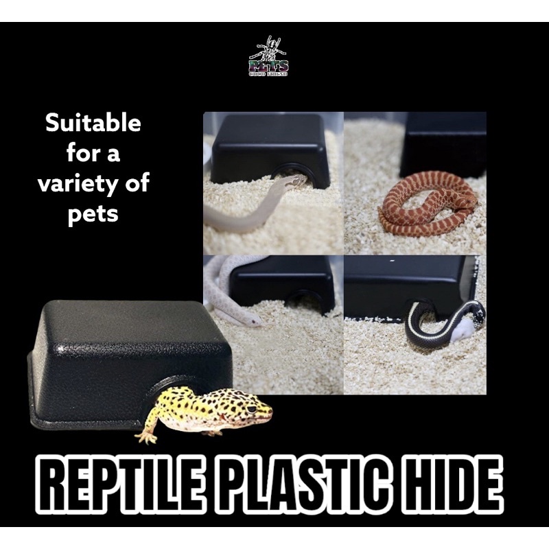 REPTILE PLASTIC HIDE for gecko and small snakes | Shopee Philippines