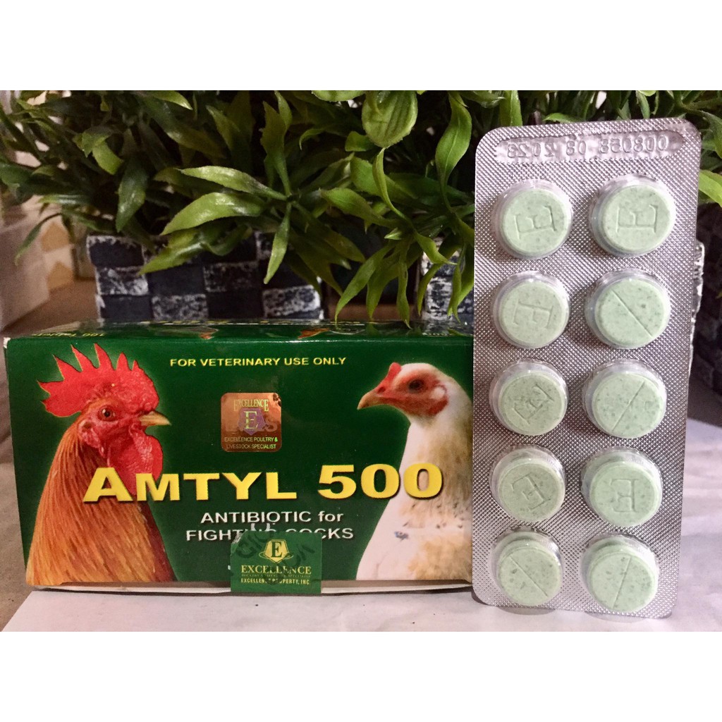 Amtyl 500 tablet (10 tablets) | Shopee Philippines