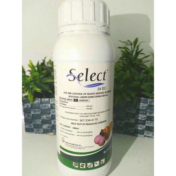 Select 24 EC (500ml) Clethodim selective grass weed killer | Shopee ...