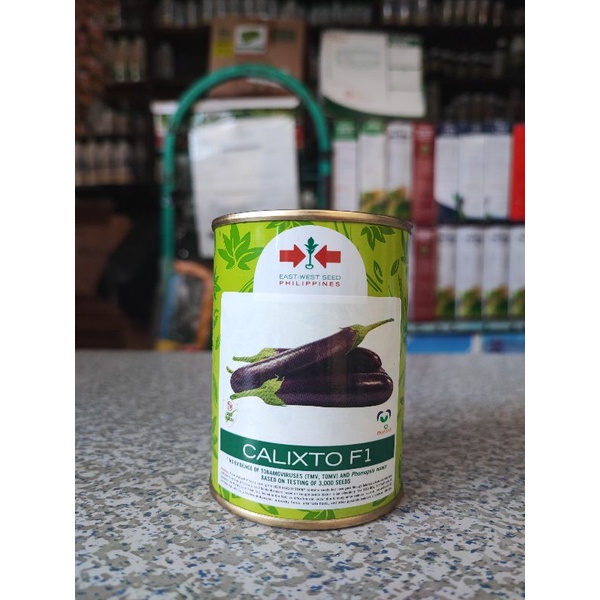 Calixto F1 Hybrid Eggplant 50 grams - East West Seed | Shopee Philippines