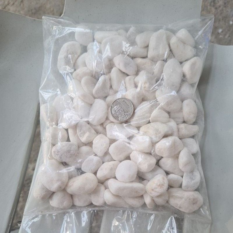 White marble stone/pebbles stone/aquarium stone(1kg) | Shopee Philippines