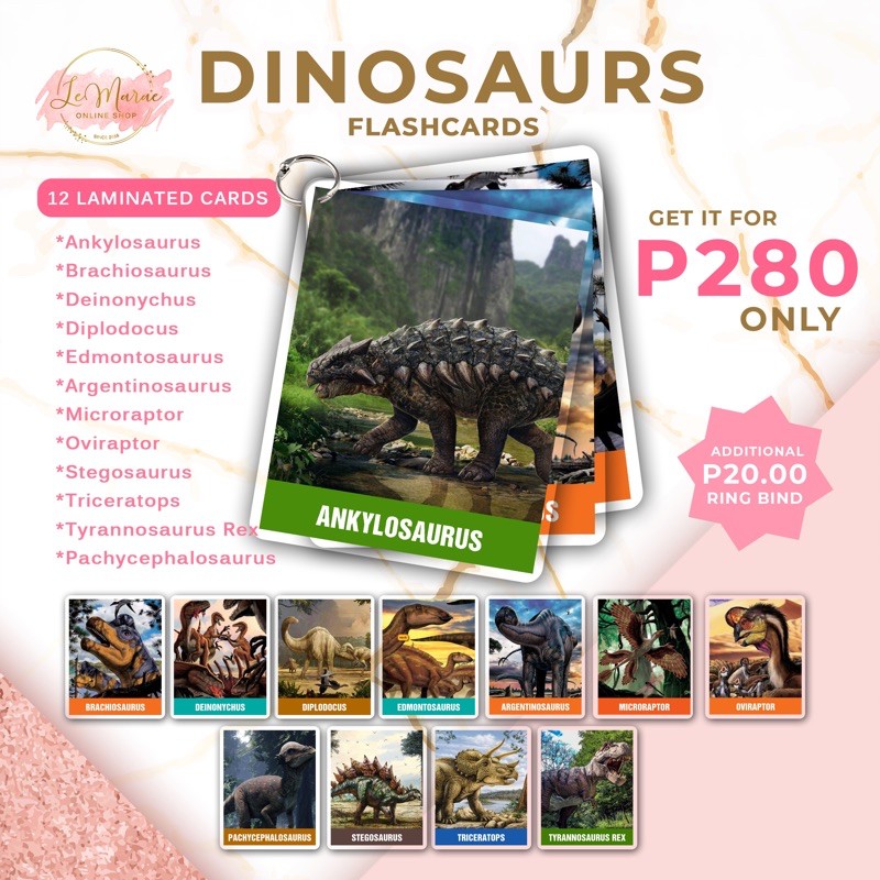 KINDS OF DINOSAURS Laminated Educational Flashcards Toddlers Cards Dino ...