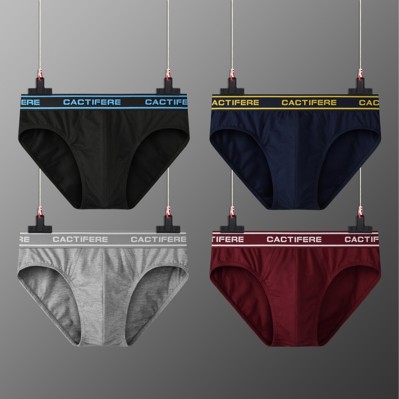 4pcs New Arrival Cacti Keno plus size men's briefs 3xl 4xl 5xl high ...