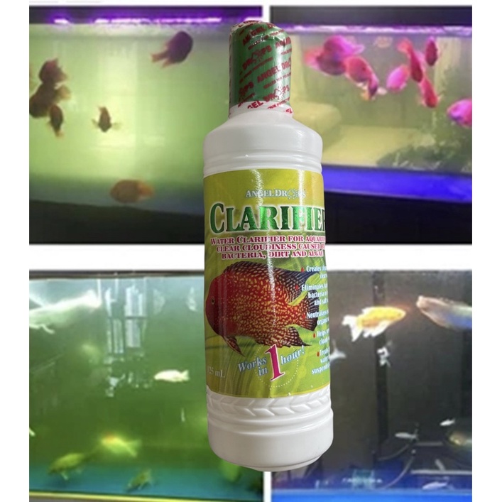 ANGEL DROPS CLARIFIER 125ml | Shopee Philippines