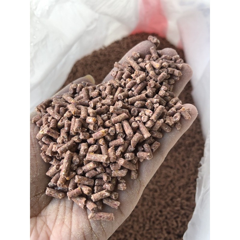 GMP1, GMP2, GMP3, GMP4 (GMP 1 , GMP 2 , GMP 3 , GMP 4) with Acti Plus ...